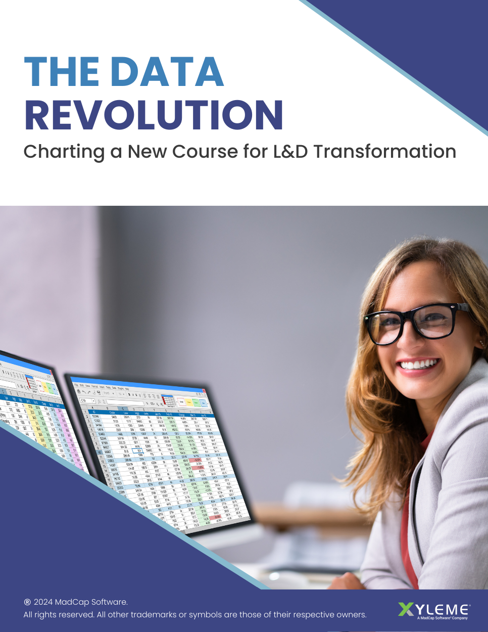 Download The Data Revolution White Paper